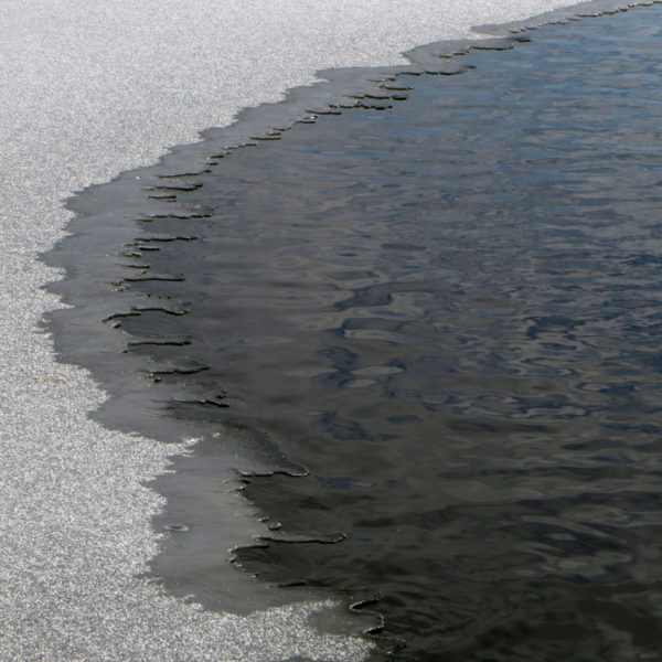 Biz – Page 3 – Biz Hertzberg Photography