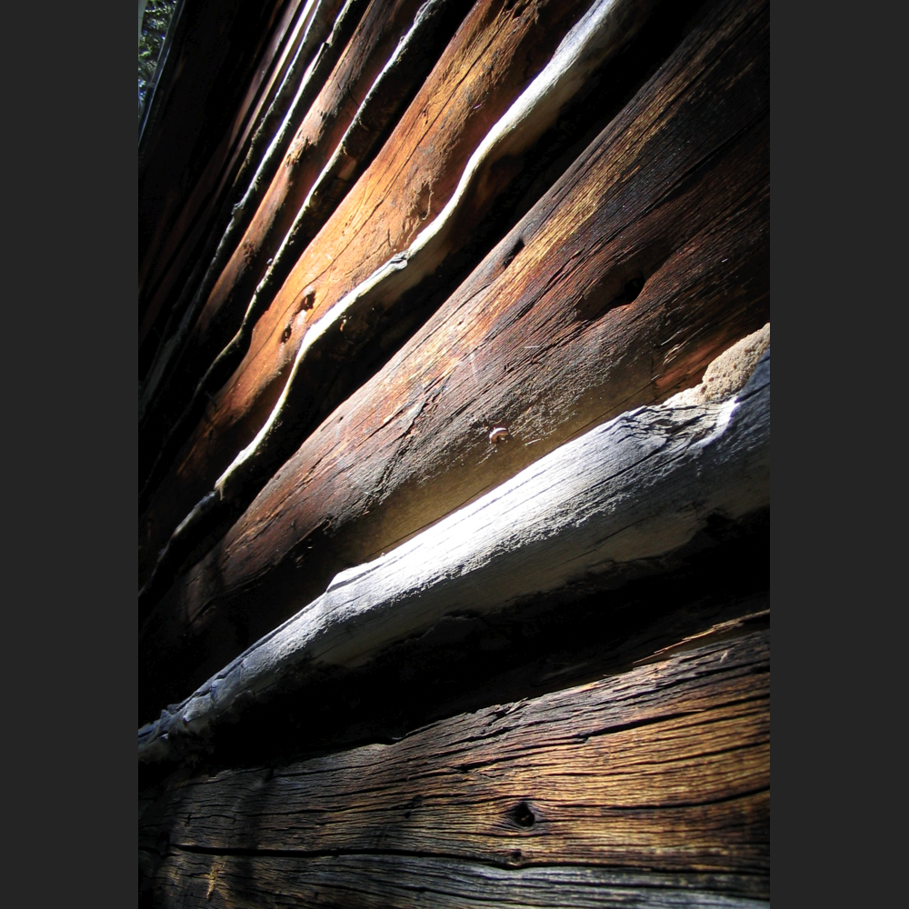 Log Wall – Biz Hertzberg Photography